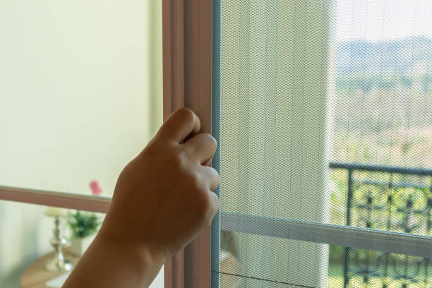 Essential Guide: How to Maintain Your Retractable Screen Door | Halton ...